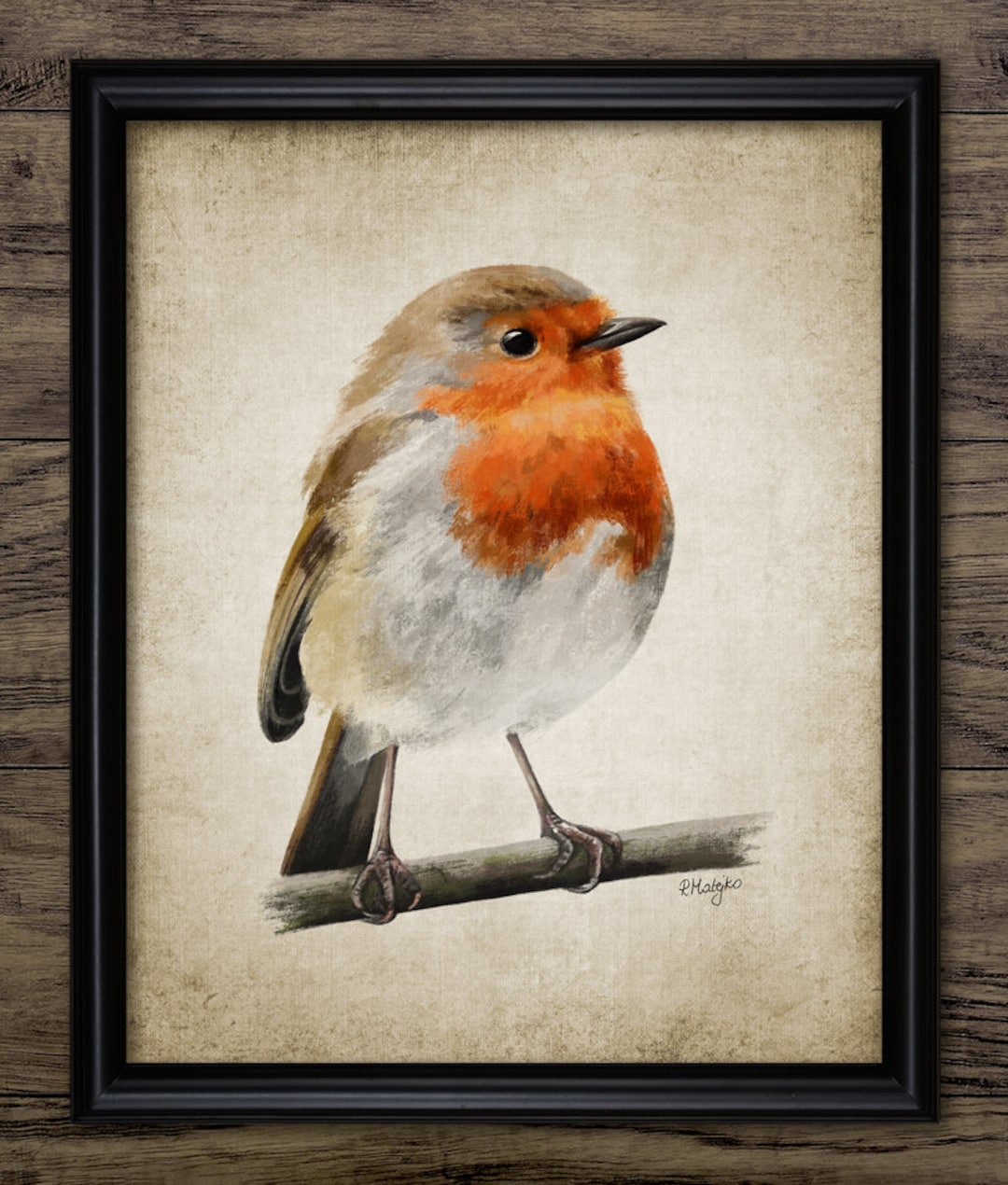 Robin Watercolour Painting, Printable European Robin, British Garden ...