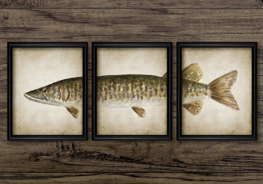 Pike Fish Watercolour Painting Set of 3, Printable Fish Painting ...