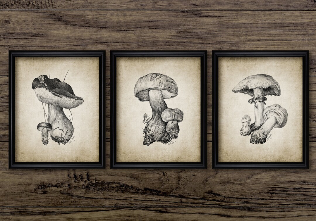 Fall Mushroom Pencil Drawing Set of 3, Printable Mushrooms, Autumn ...