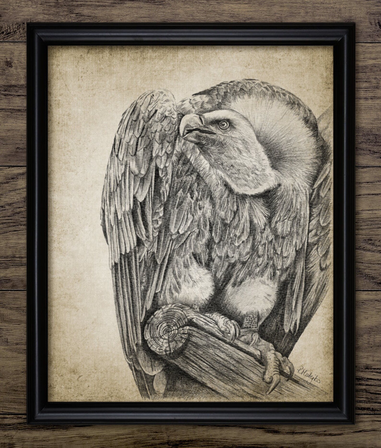 Vulture Pencil Drawing Printable Vulture Drawing Vulture - Etsy