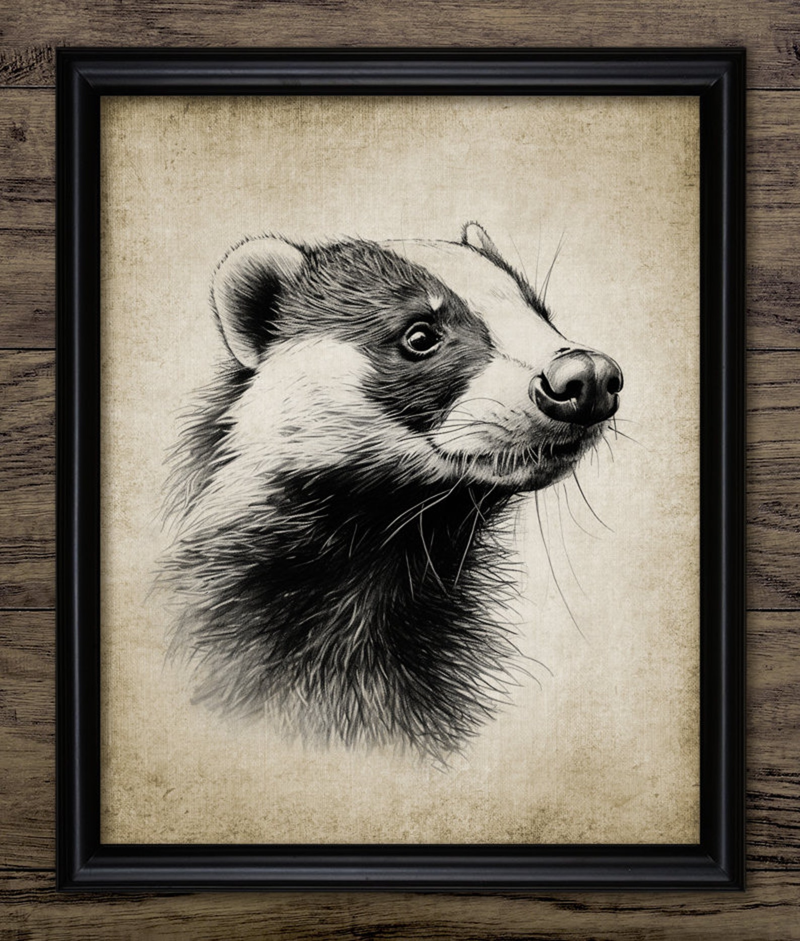 Badger Wall Art, Printable Badger, British Wildlife, Nocturnal Badger ...