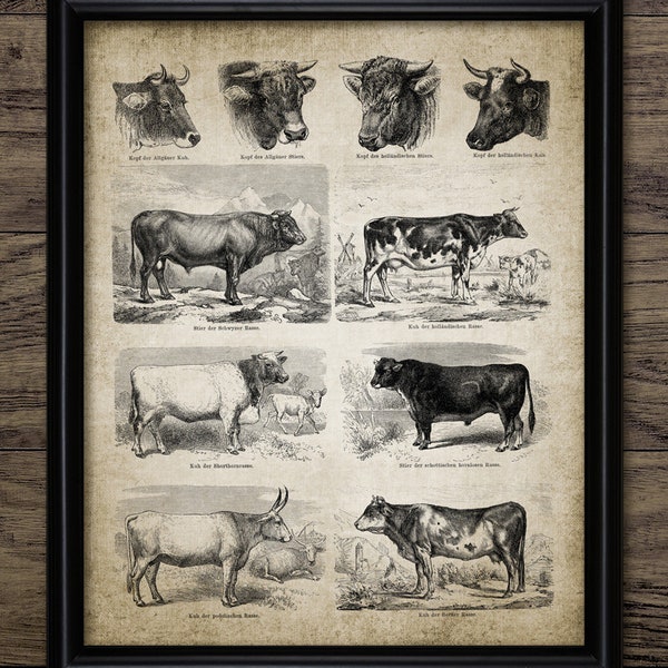 Dairy Cow Art - Etsy