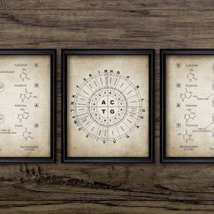 DNA and RNA Genetic Code Wall Art Set of 3 Genetics - Etsy