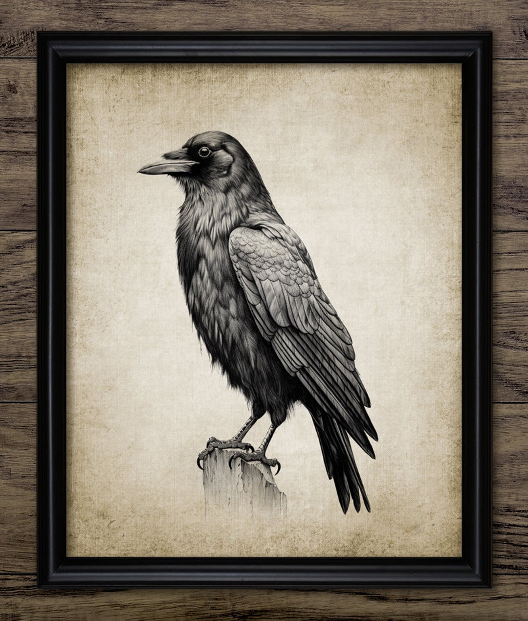 Raven Wall Art, Printable Raven Bird, Black Bird, Common Raven ...