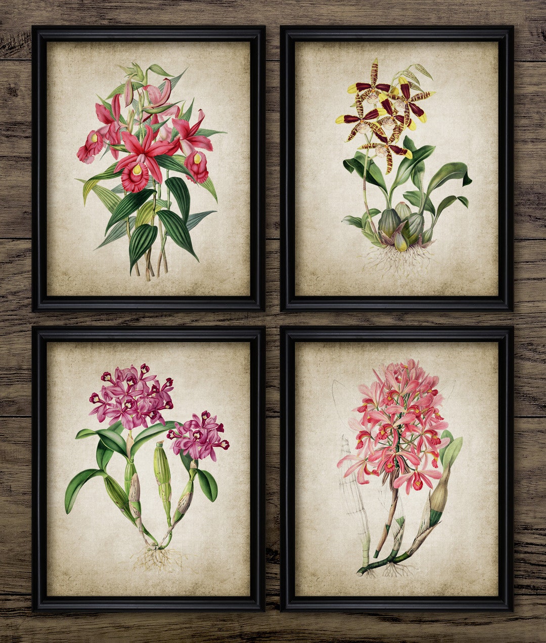 Orchid Wall Art Set of 4, Pink Orchid Decor, Orchid Plant Print, Wild ...