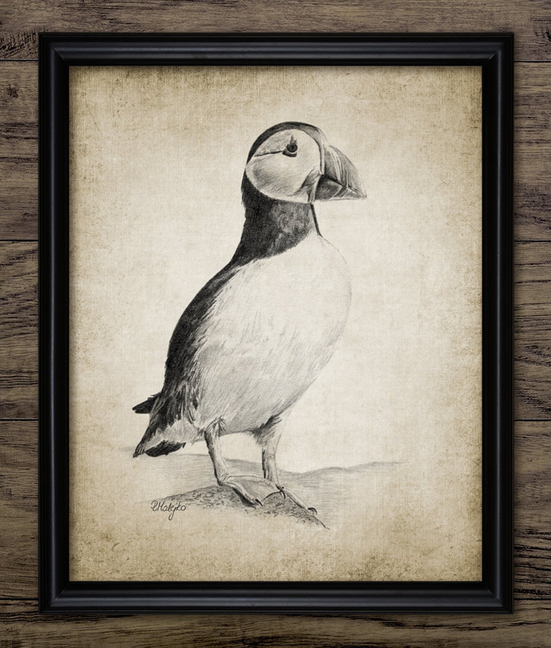 Puffin Pencil Drawing, Printable Puffin Drawing, Puffin Bird Decor ...