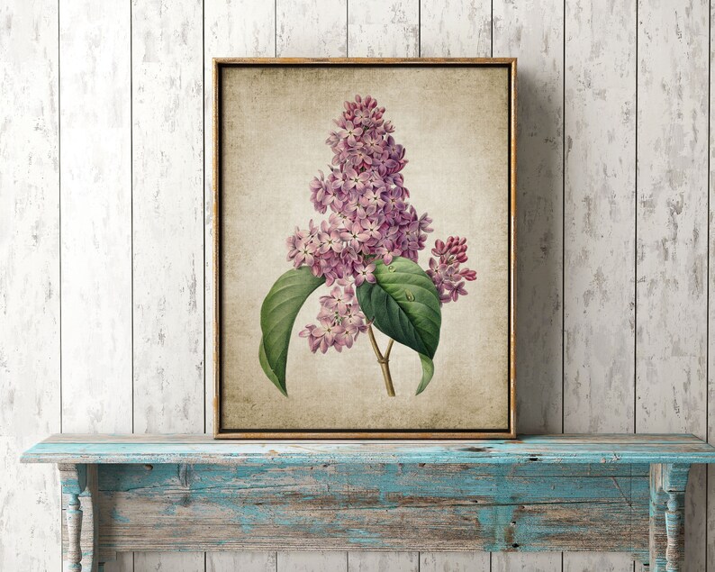 Lilac Flower Wall Art Print, Rustic Wall Decor, Lilac Tree Illustration ...
