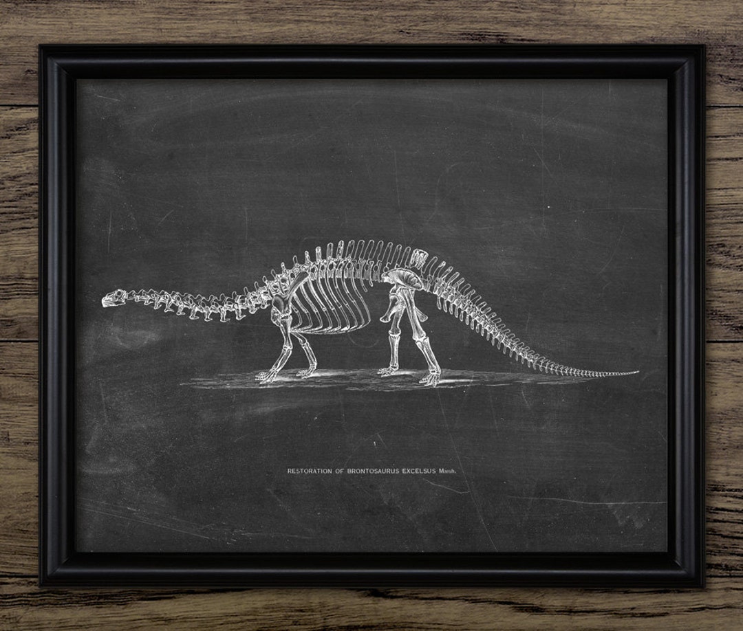 Brontosaurus Fossil Skeleton Wall Art, Printable Dinosaur, Sauropod ...