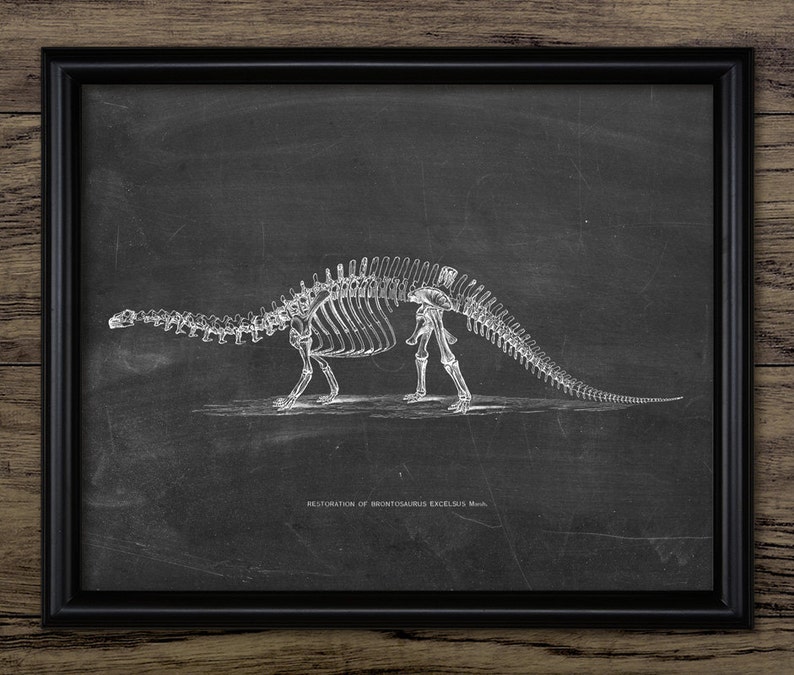 Brontosaurus Fossil Skelett Wand Kunst, Druckbare Dinosaurier ...