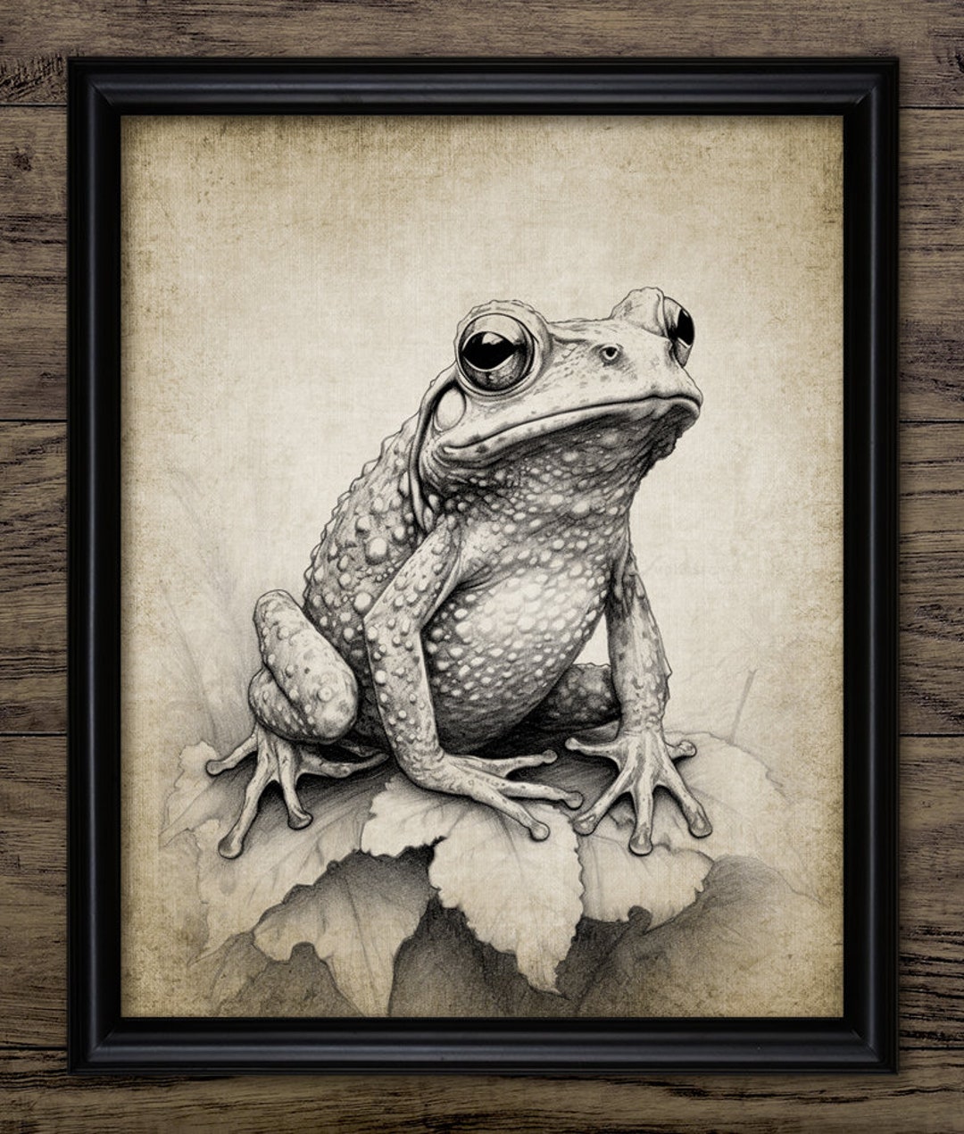Frog Wall Art, Printable Frog, Amphibian, Frogs, Cute Frog, Frog Print ...