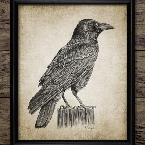 Raven Wall Art Print Antique Raven Poster Gothic Decor Etsy