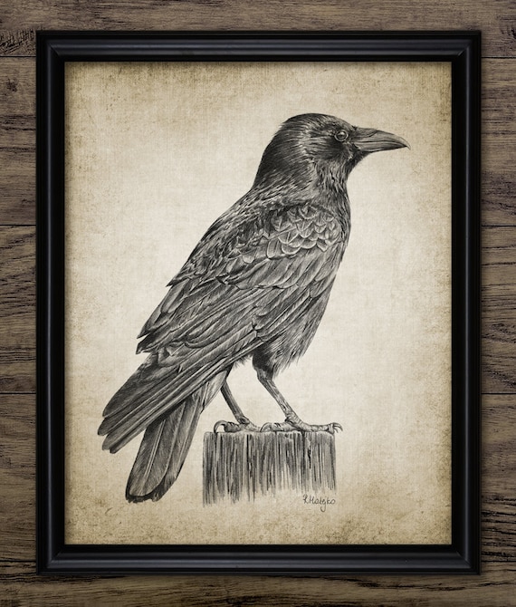 Raven Pencil Drawing Printable Raven Raven Poster Gothic - Etsy Canada