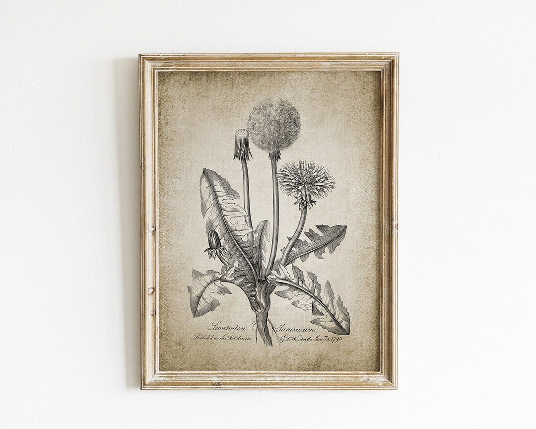 Dandelion Wall Art Printable Dandelion Dandelion Clock - Etsy