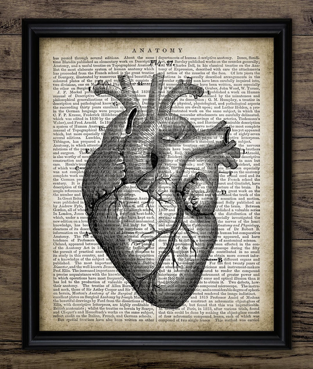 Human Heart Print on Dictionary Page Background, Printable Human Heart ...