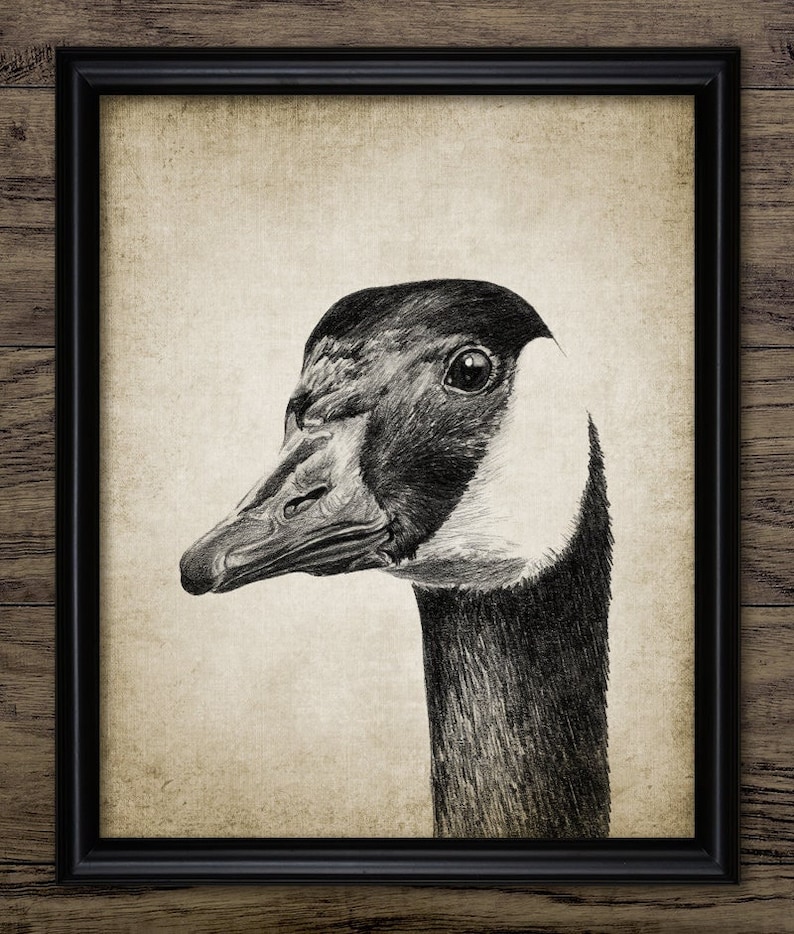Goose Pencil Drawing Printable Goose Goose Poster Farmhouse - Etsy