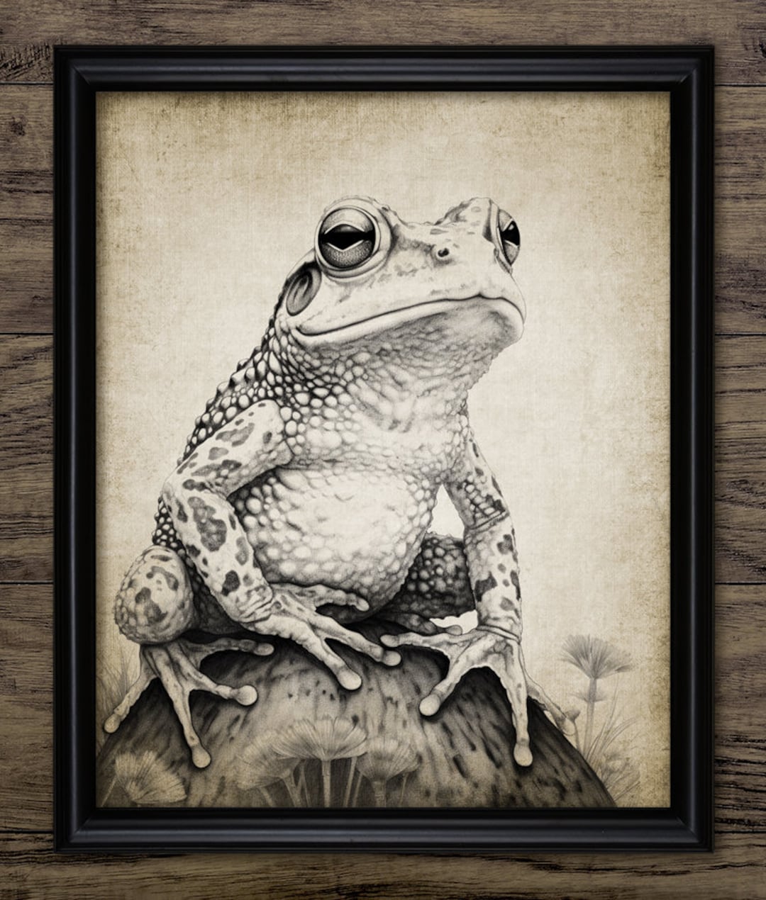 Frog Wall Art, Printable Frog, Amphibian, Frogs, Cute Frog, Frog Print ...