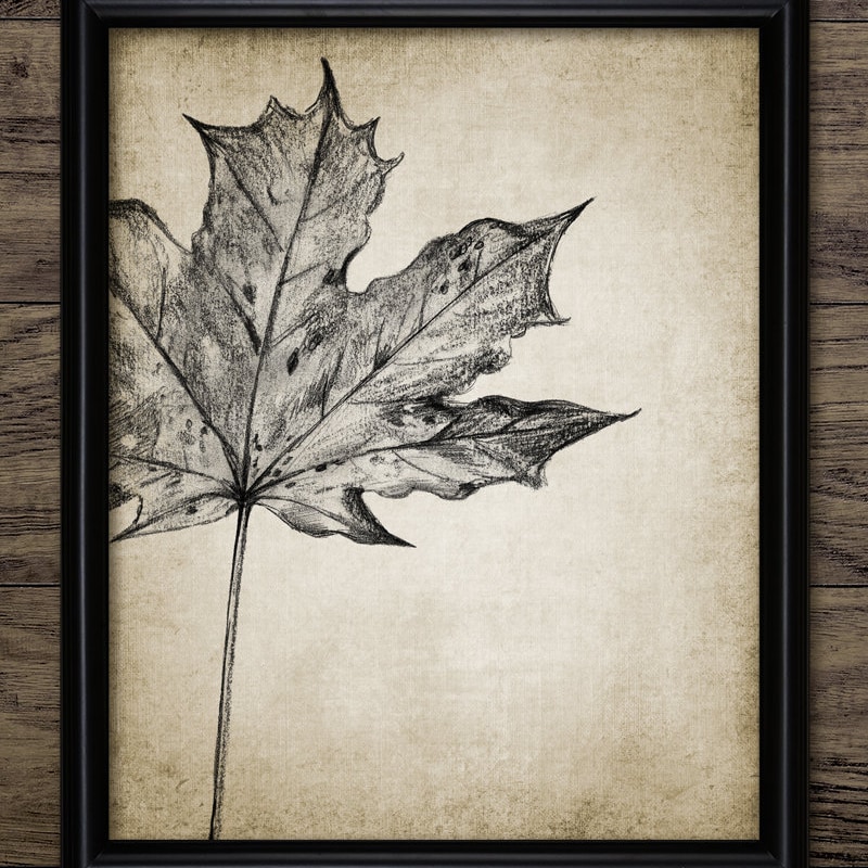 Leaf Drawing - Etsy