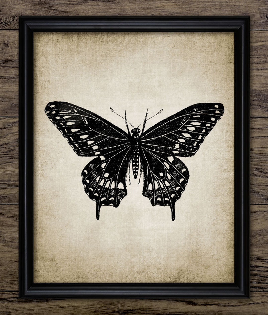 Butterfly Wall Art, Printable Butterfly, Insect, Vintage Butterfly ...