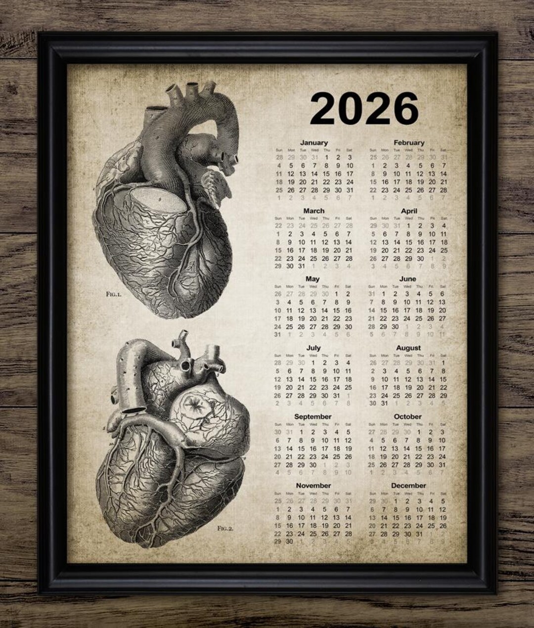 Anatomical Heart Calendar 2026, Printable Human Anatomy Wall Calendar ...