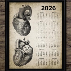 Printable 2026 Calendar Human Anatomy - Etsy