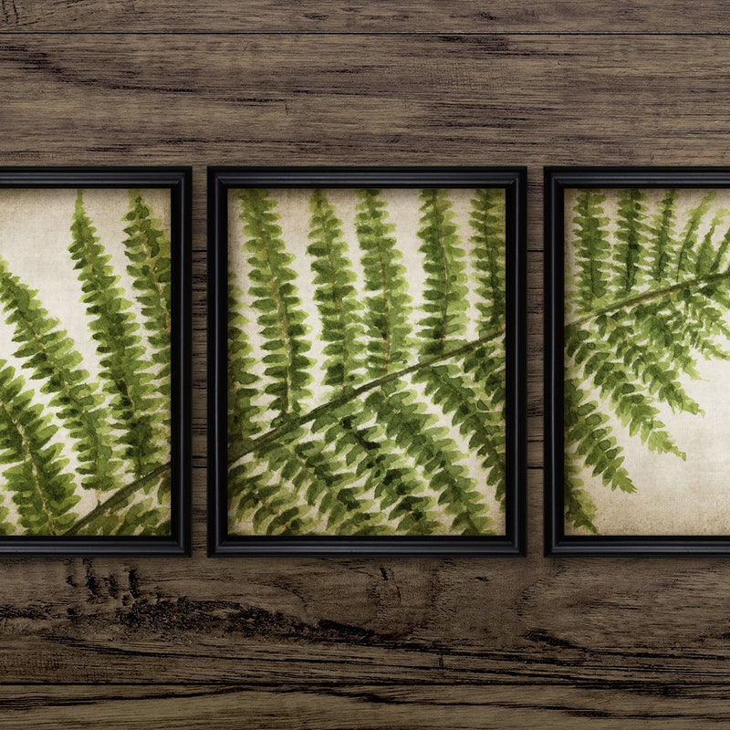 Fern Art - Etsy