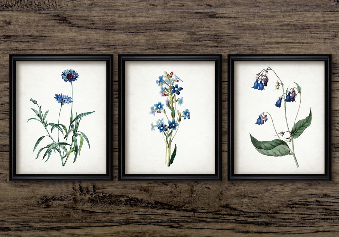 Blue Flowers Wall Art Set of 3, Printable Blue Flower, Blue Botanical ...