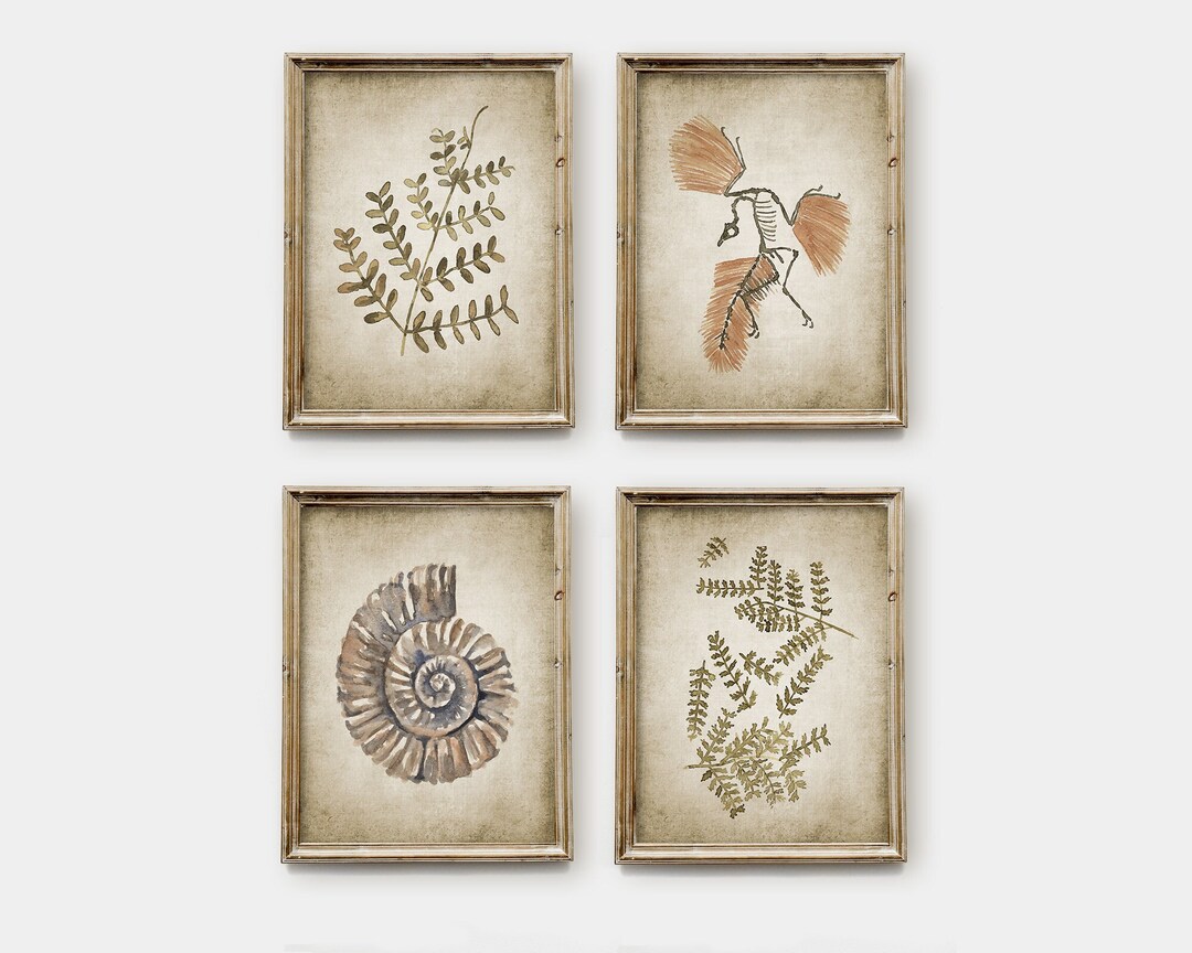 Fossil Wall Art Set of 4, Printable Fossils Art, Fossil Watercolour ...