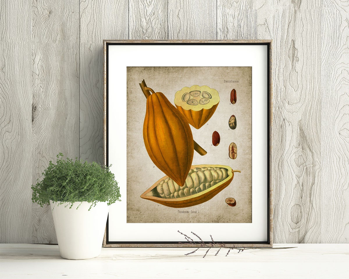 Cocoa Wall Art Printable Cocoa Rustic Farmhouse Kitchen - Etsy