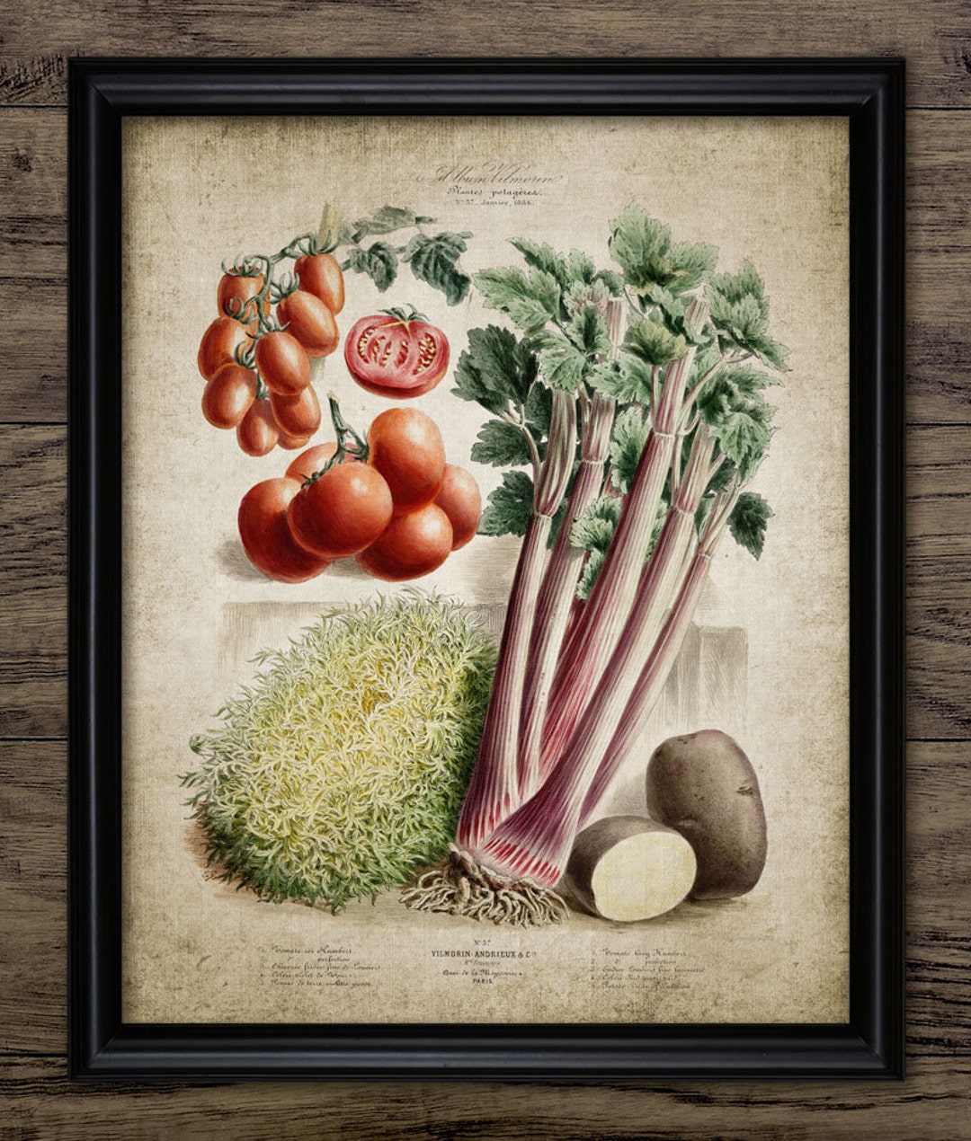 Vintage Vegetables Wall Art, Printable Vegetables, 1886 Vegetable ...