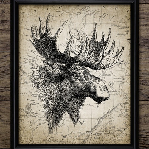 Vintage Moose Wall Art North American Moose Drawing Upon Map - Etsy