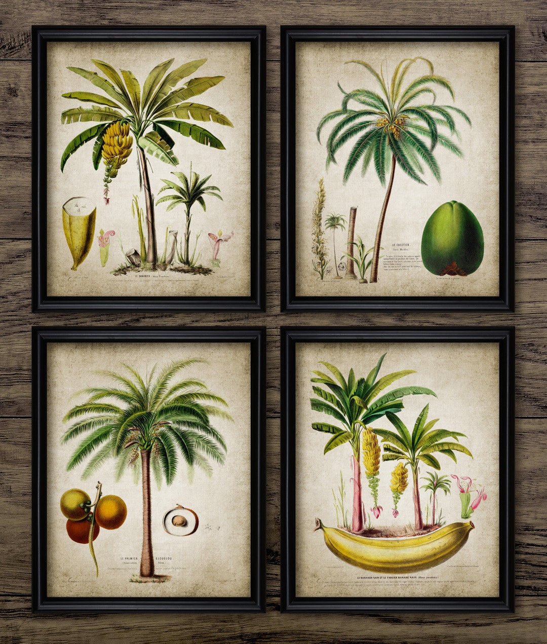Tropical Fruit Palm Tree Art Set of 4, Vintage Palm Tree, Vintage ...