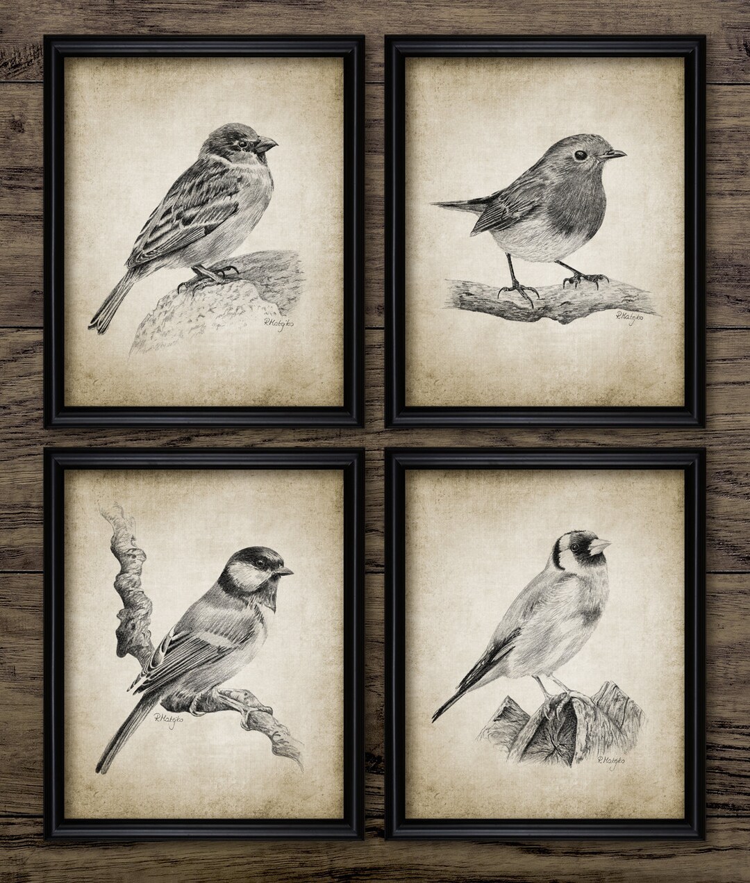 Bird Pencil Drawing Set of Four, Printable Bird Pencil Drawings ...