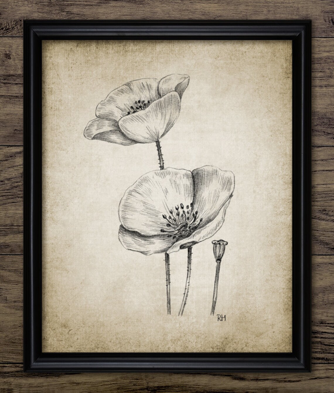 Flower Pencil Drawing Set of Four Printable Flower Drawing - Etsy UK