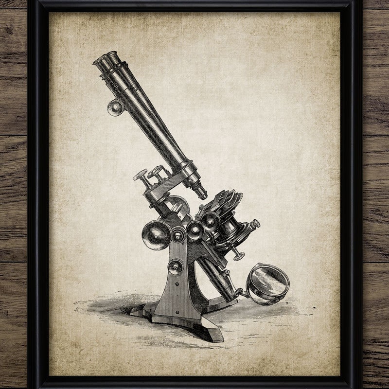 Microscope Art - Etsy