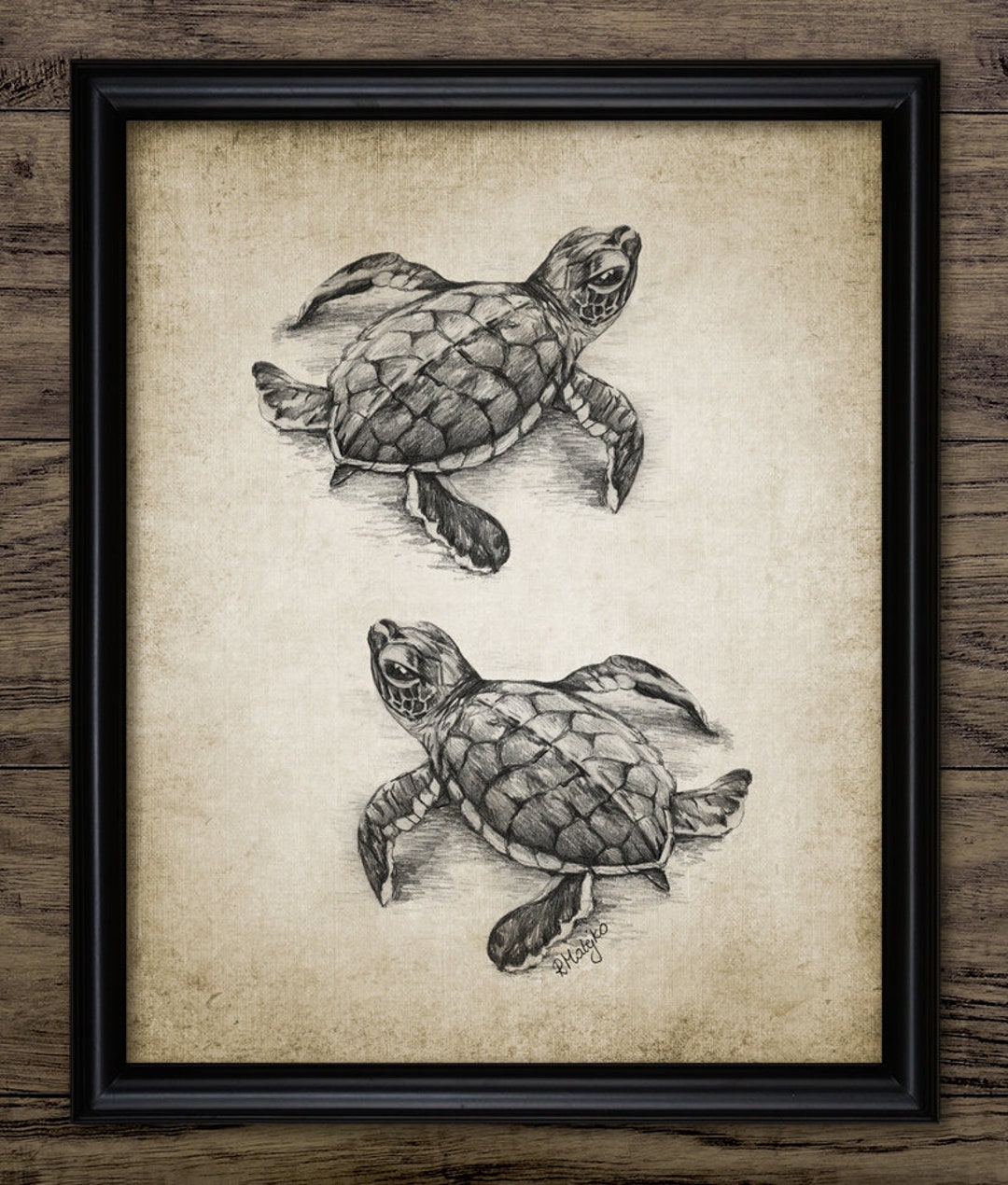 Baby Turtle Pencil Drawing, Printable Turtle Hatchling, Nursery Wall ...
