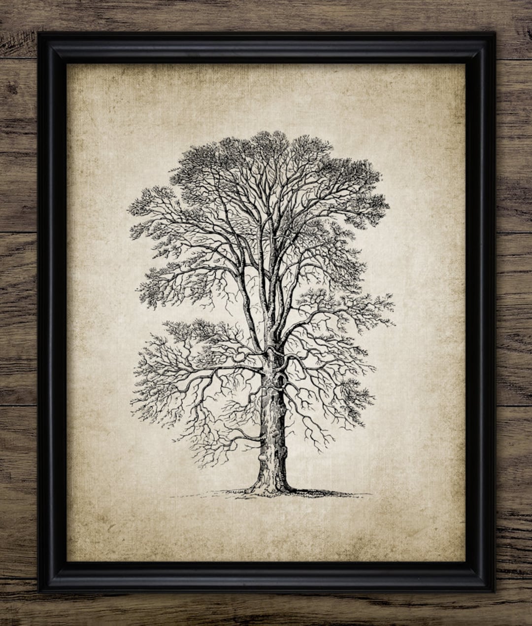 Vintage Tree Drawing, Printable Tree Art, Tree Sketch, Forest Decor ...