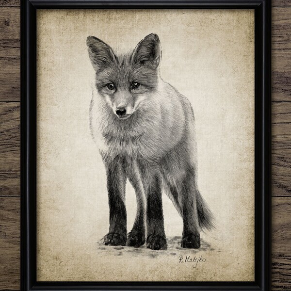 Fox Wall Art - Etsy