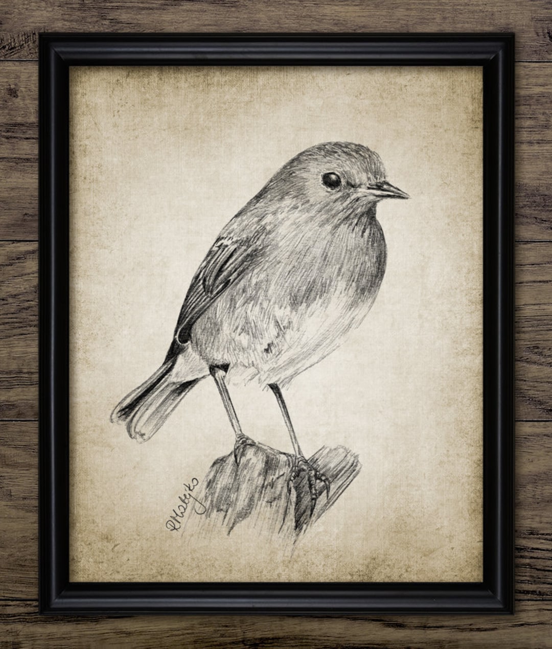 Robin Pencil Drawing, Printable Robin Drawing, Robin Bird Decor, Robin ...