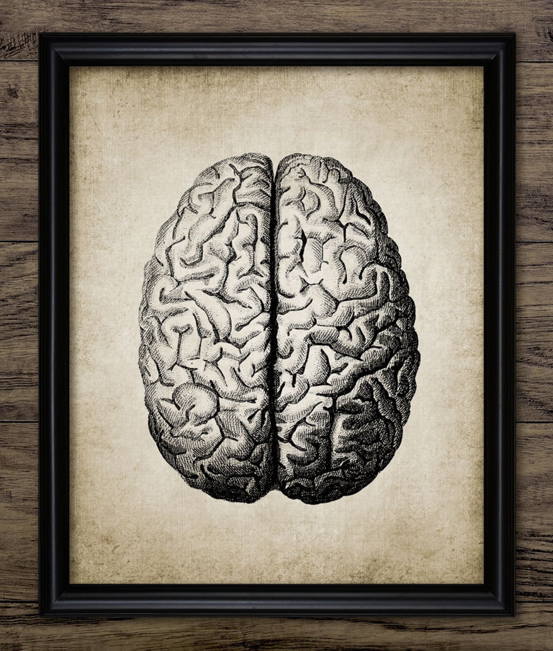 Brain Wall Art, Printable Brain, Neuroscience, Human Anatomy ...