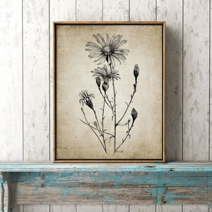 Daisy Wall Art, Printable Daisy, Garden Flower, Daisy Chain, Lawn Daisy ...