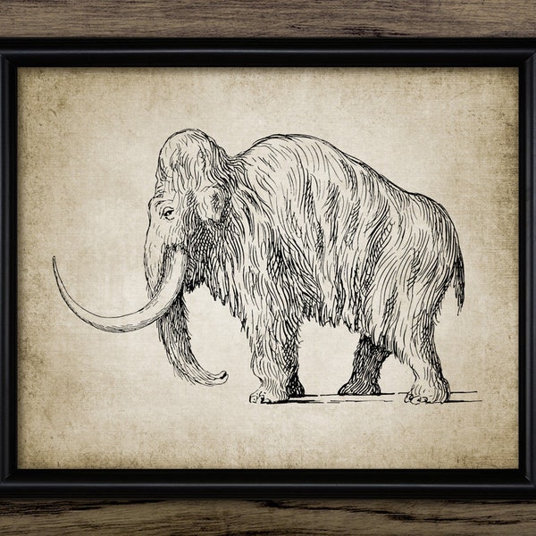 Mammoth Print - Etsy