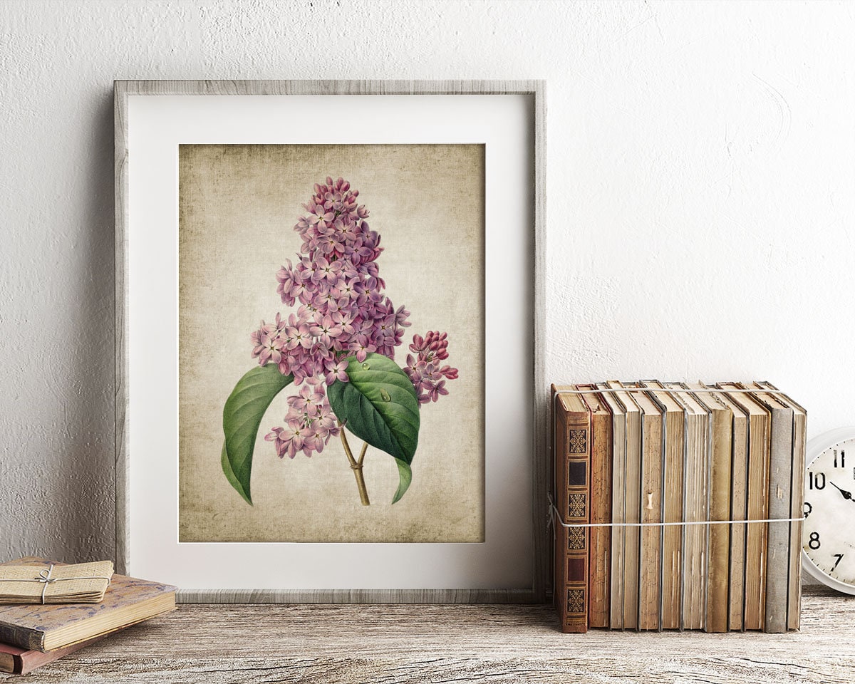 Lilac Flower Wall Art Print Rustic Wall Decor Lilac Tree - Etsy UK