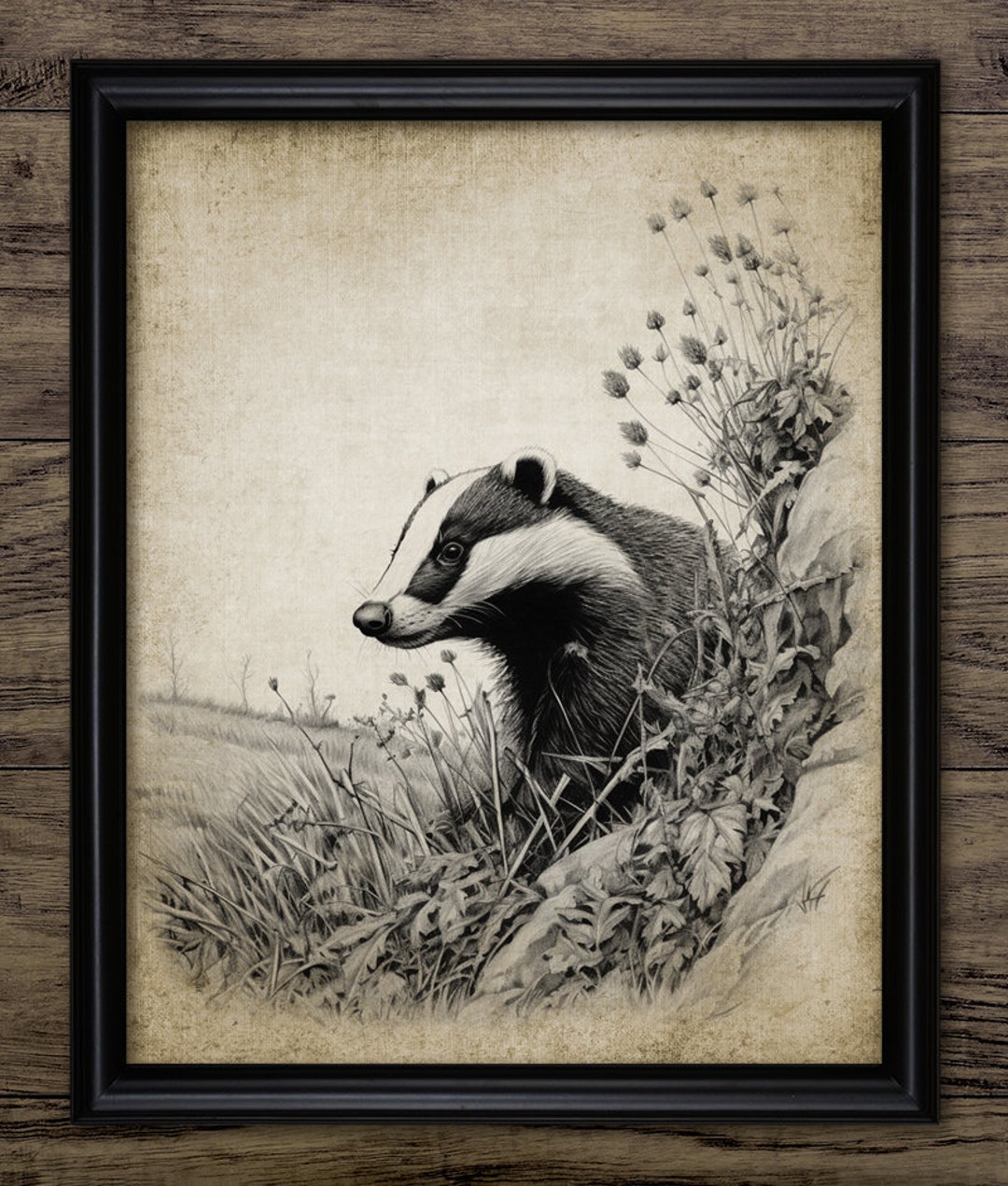 Badger Wall Art, Printable Badger, British Wildlife, Nocturnal Badger ...
