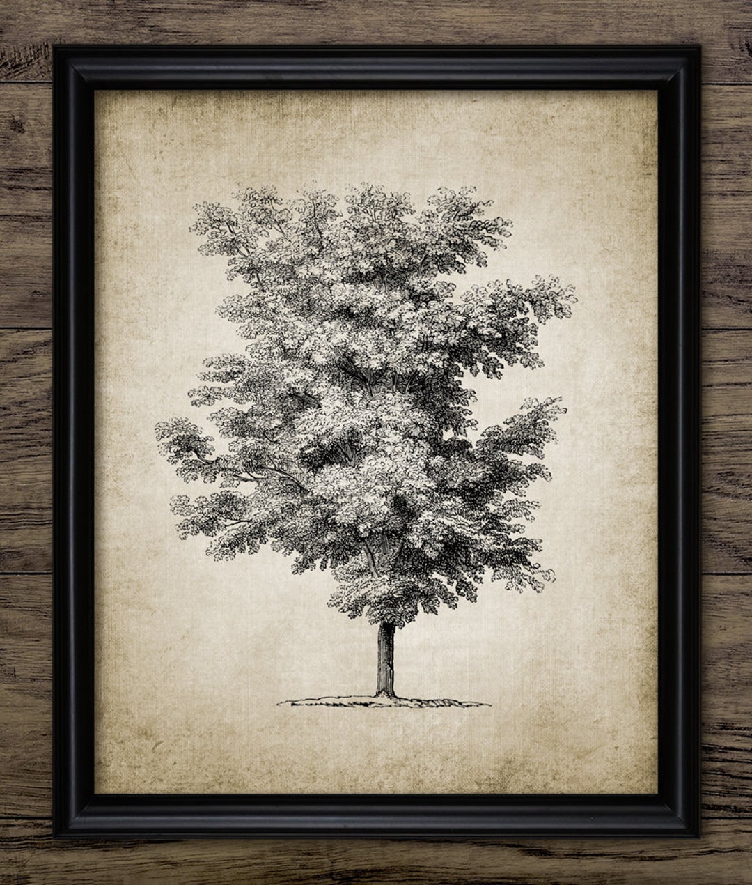 Vintage Tree Drawing, Printable Tree Art, Tree Sketch, Forest Decor ...