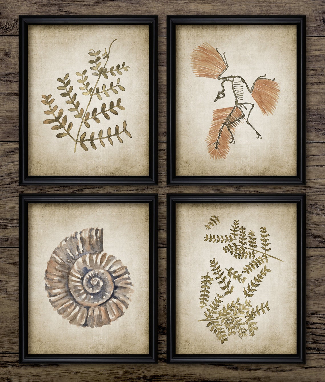 Fossil Wall Art Set of 4 Printable Fossils Art Fossil - Etsy