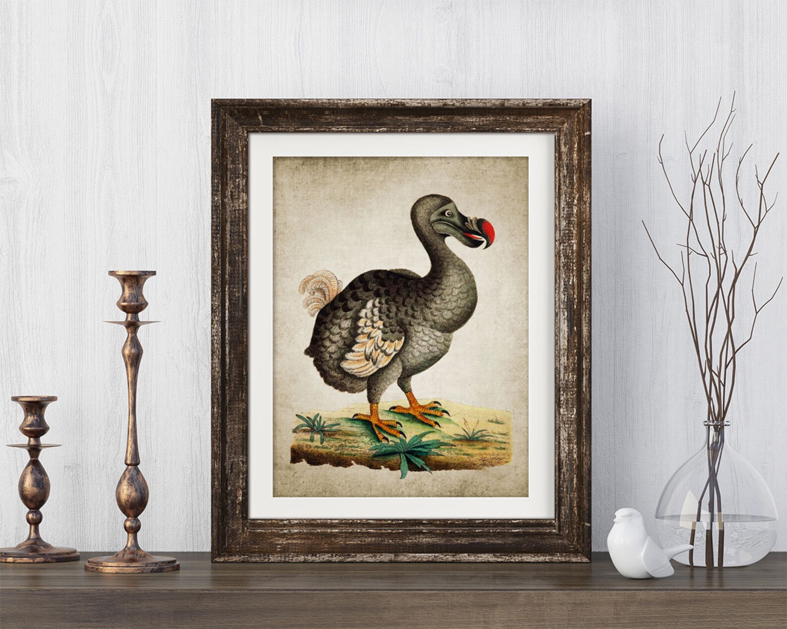 Dodo Wall Art, Printable Dodo Bird, Extinct Flightless Bird ...