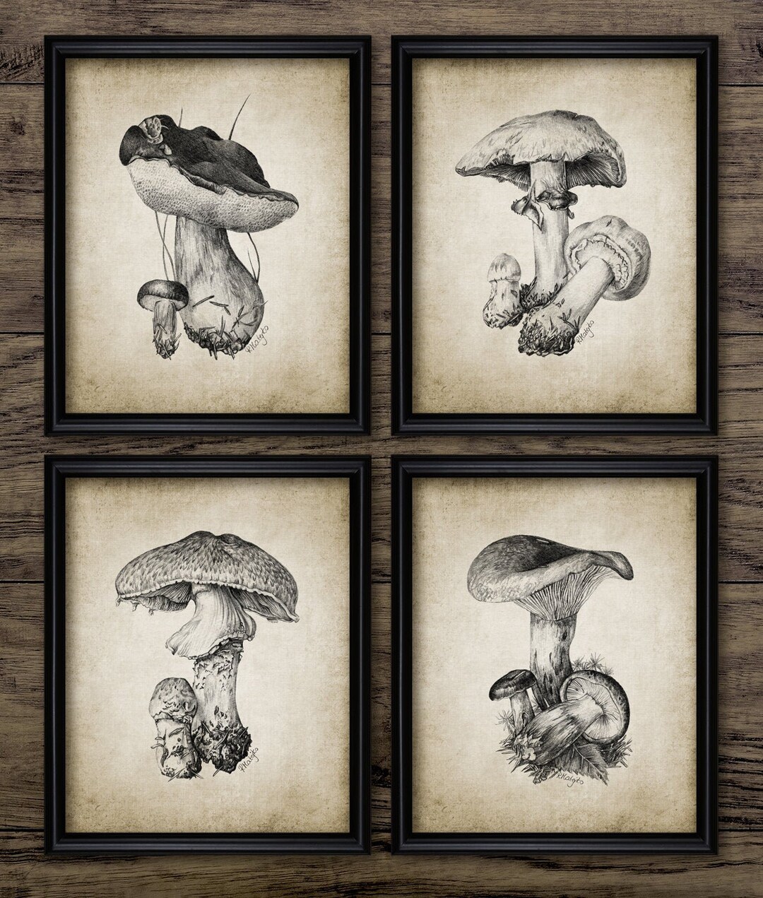 Fall Mushroom Pencil Drawing Set of 4, Printable Mushrooms, Autumn ...