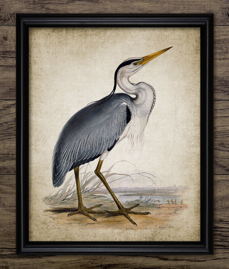 Heron Art Print Printable Heron Vintage Heron Bird Wall Art | Etsy