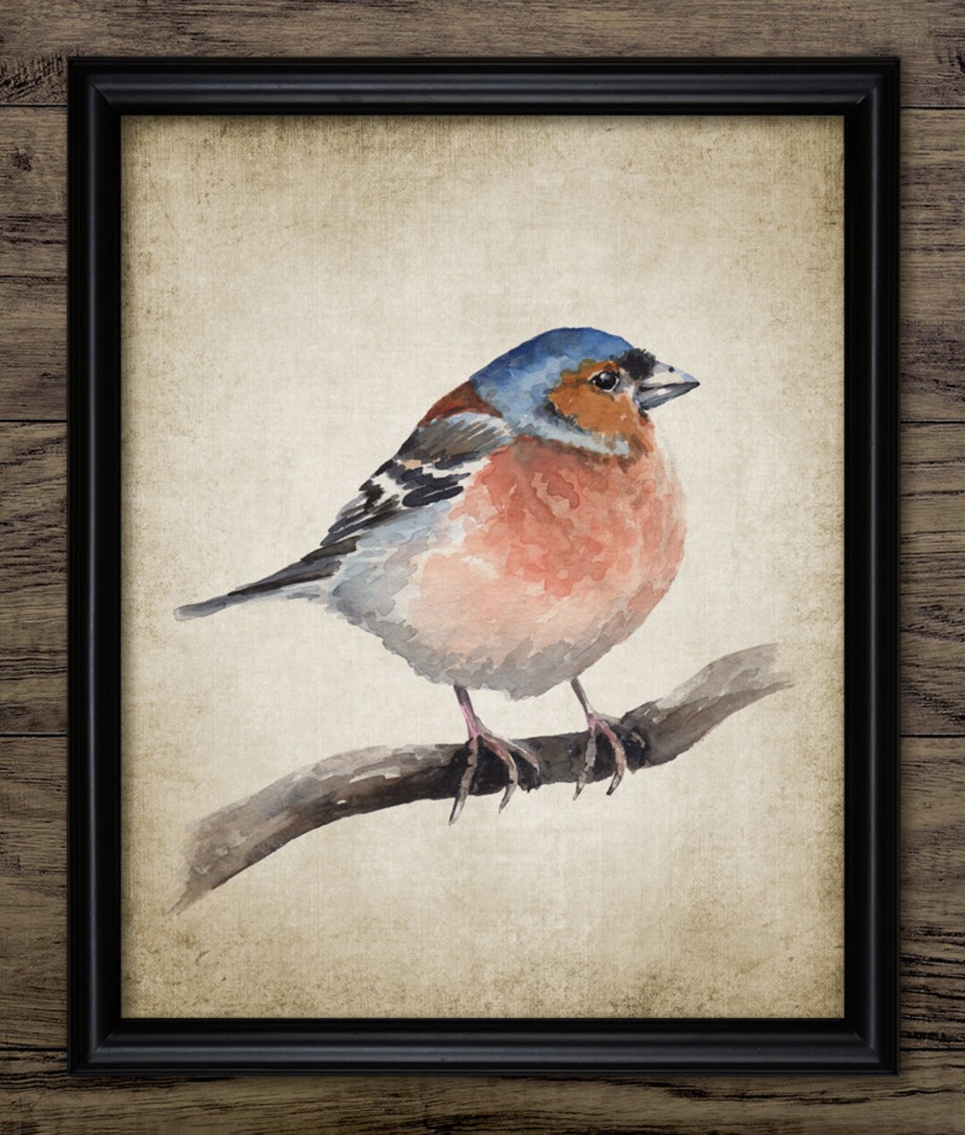 Chaffinch Wall Art, Printable Chaffinch Watercolour Painting, Chaffinch ...