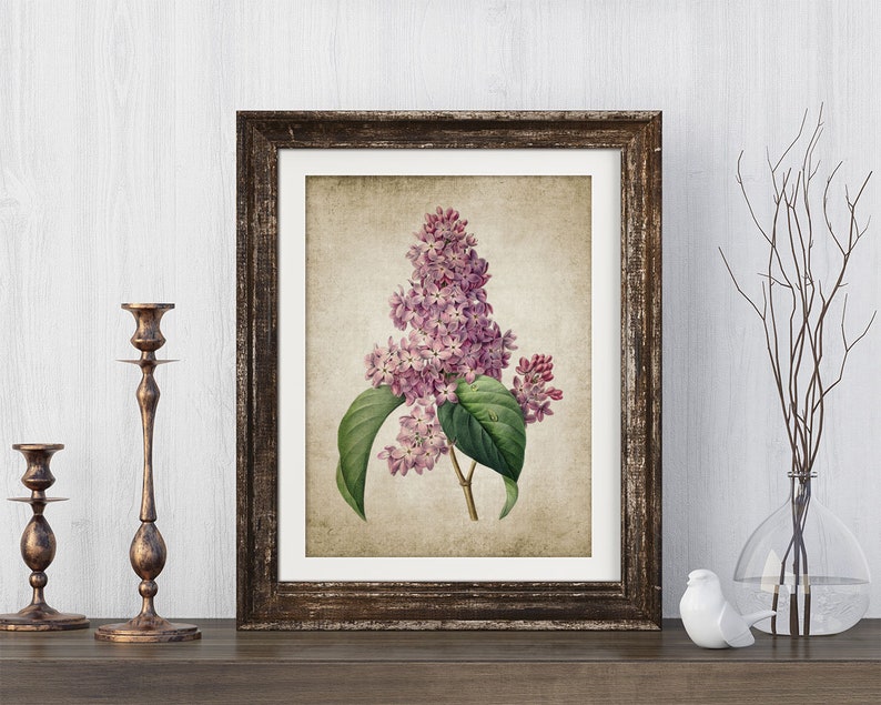 Lilac Flower Wall Art Print, Rustic Wall Decor, Lilac Tree Illustration ...